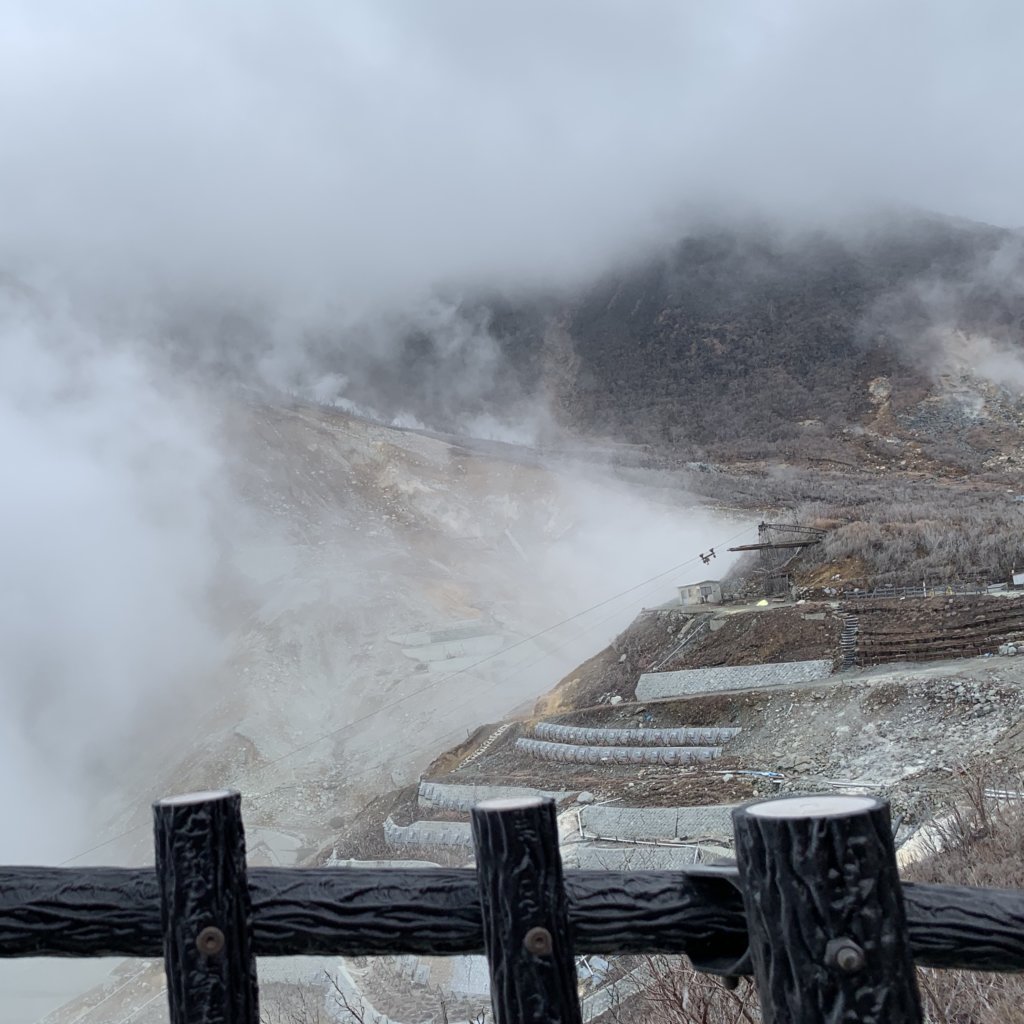 タテジマユムシ（縦縞螠虫） 学名：Listriolobus riukiuensis | 暮らしに馴染む旅